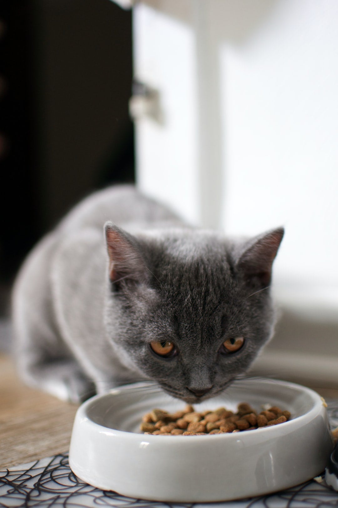 The regulation of pet food
